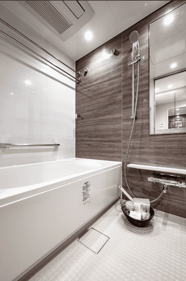 Livio Raison Shimbashi NEX 1201 | Tokyo Portfolio