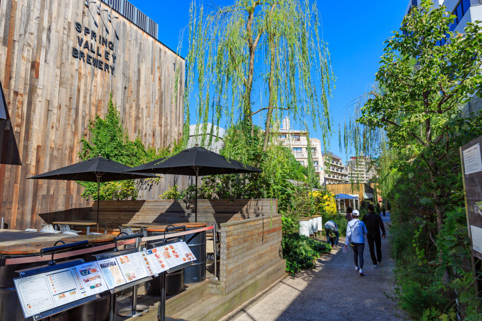 Daikanyama Area Guide - Tokyo Portfolio