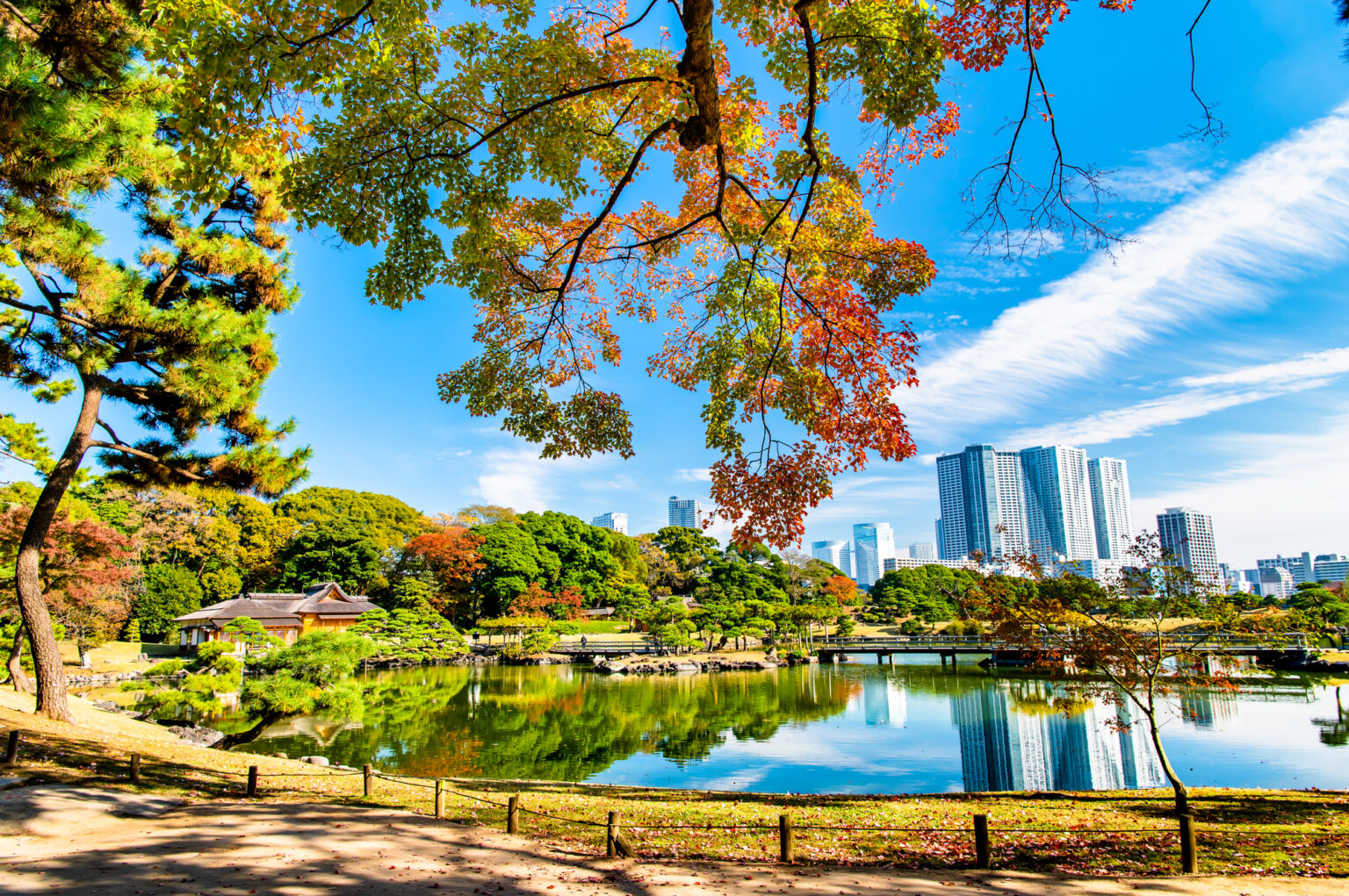 Toranomon Area Guide - Tokyo Portfolio