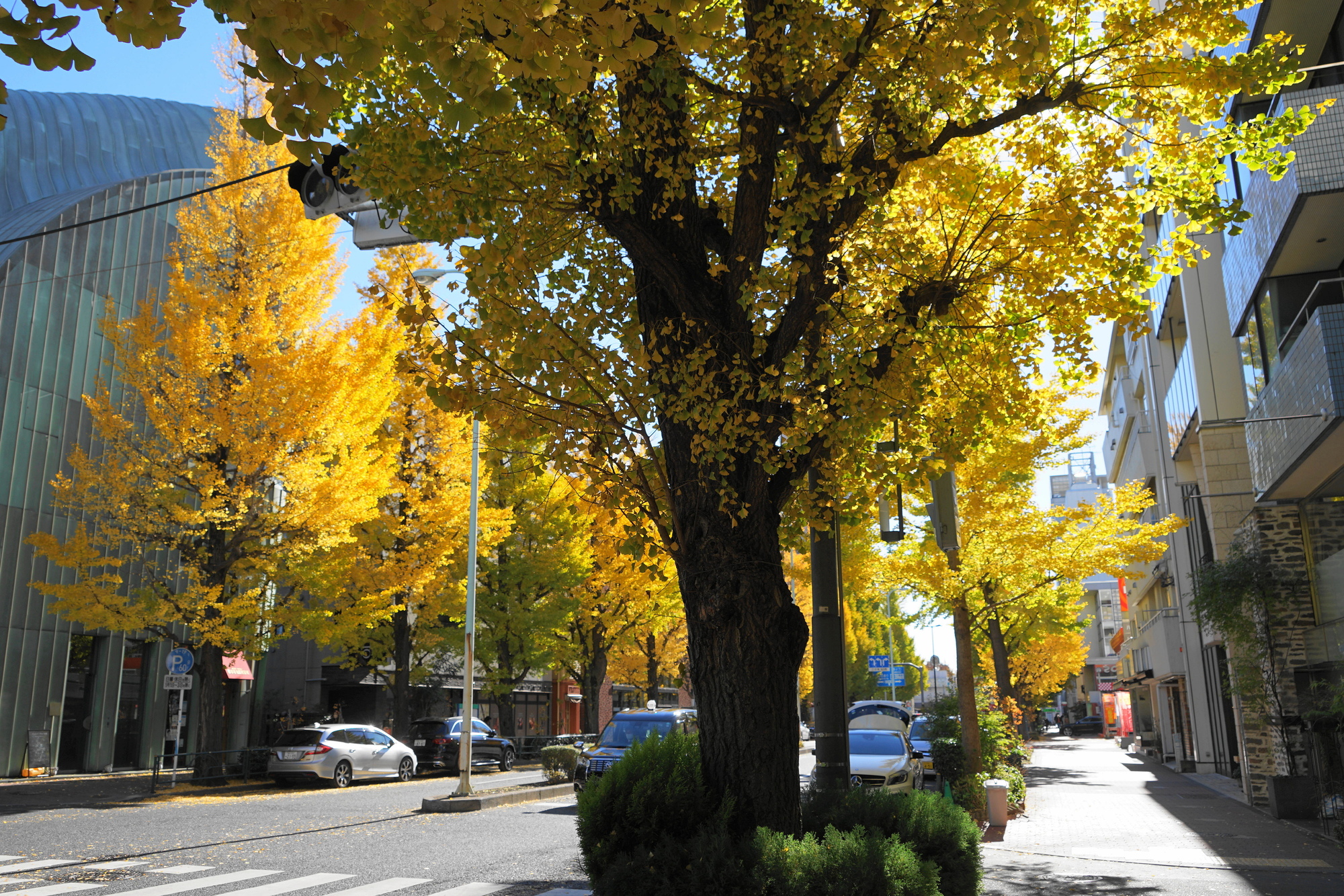 10 Richest and Most Expensive Neighborhoods in Tokyo - Tokyo Portfolio